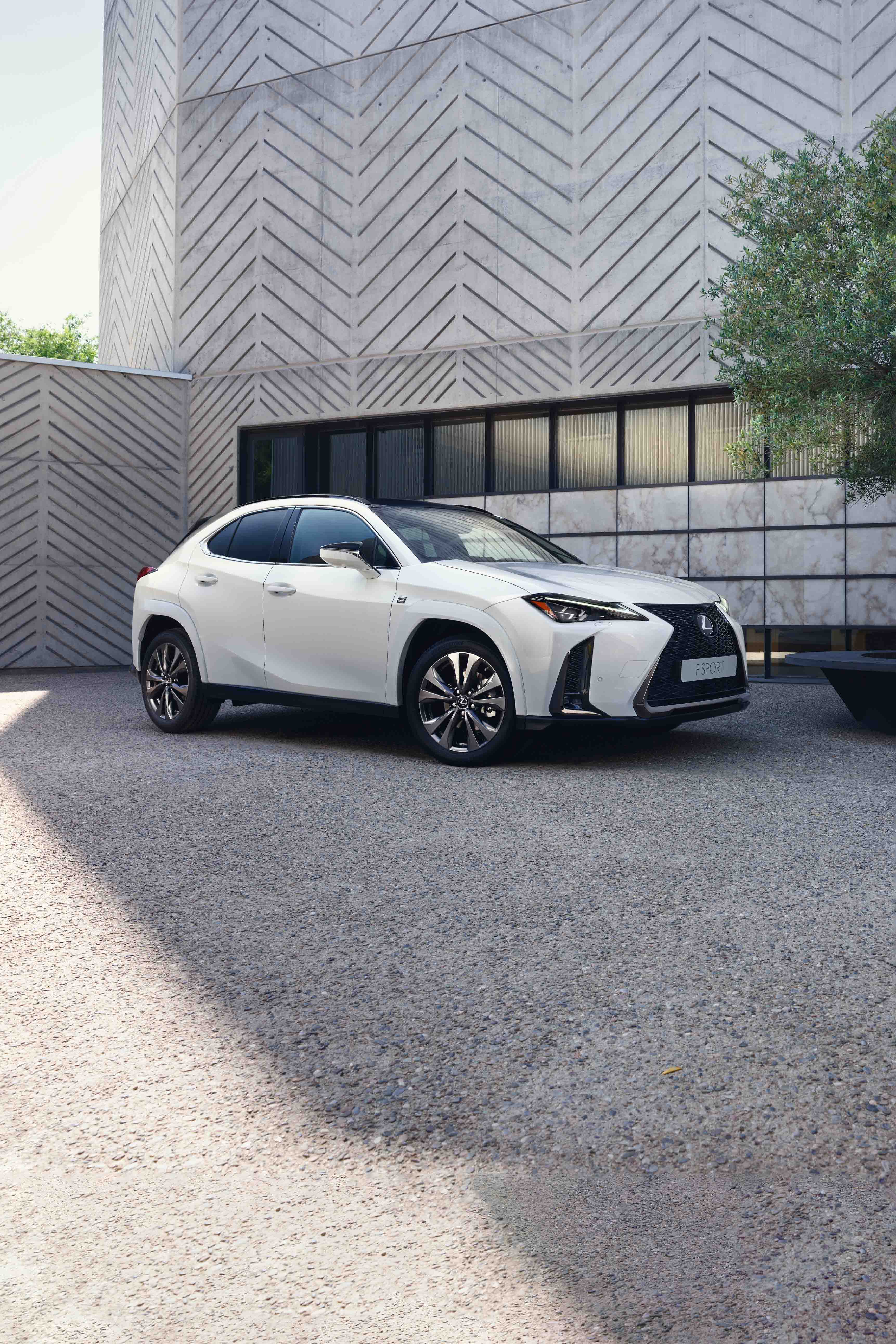 Lexus Of Parramatta | Sydney Lexus Dealership | Luxury Cars & Service